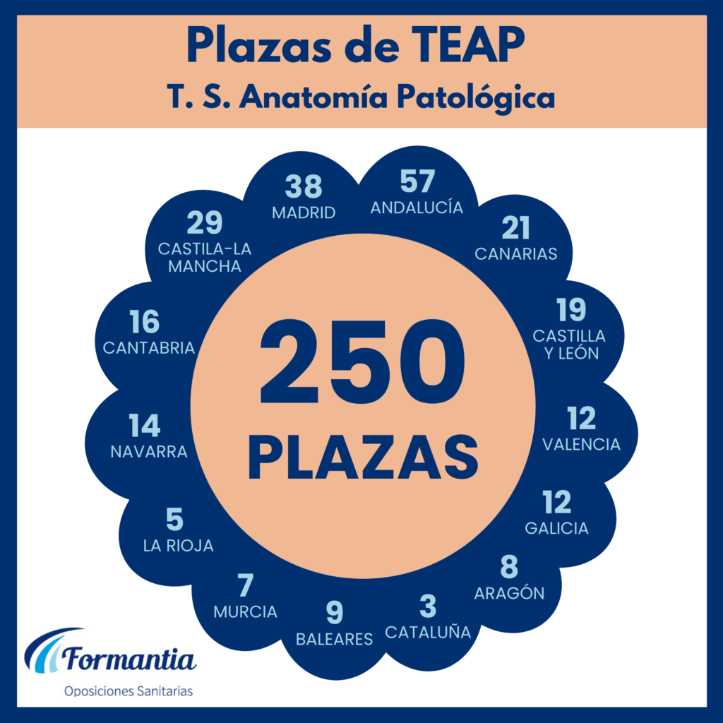 Plazas 2025 – TEAP Anatomía Patológica